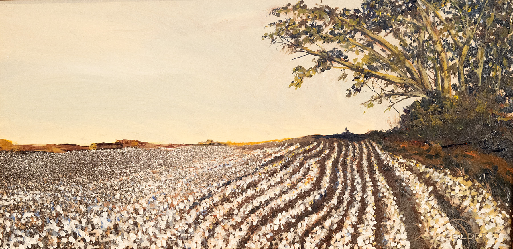 Cottonfield on County Line Road © Jim Felder – Stonehenge Inc.